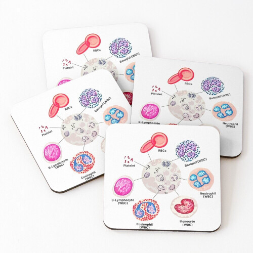 Leather Coasters Blood cells. RBCs. WBCs, Basophil, Platelet ...