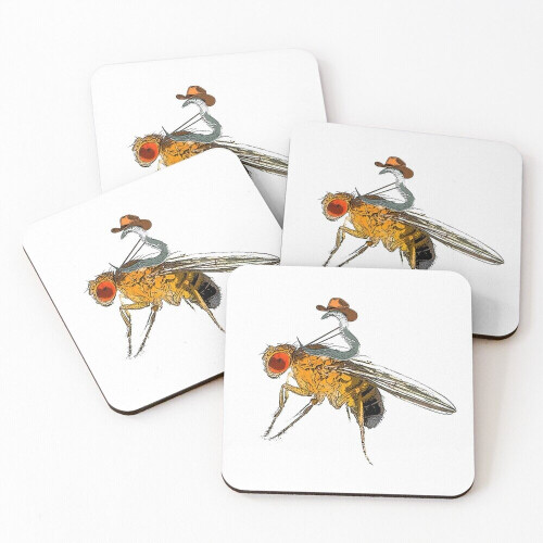 Leather Coasters C. Elegans Riding Drosophila Fly Model Organism Rodeo ...