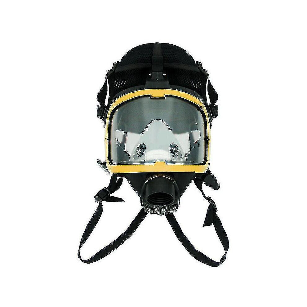 Electric Full Face Gas Mask Respirator System Constant Flow Supplied ...