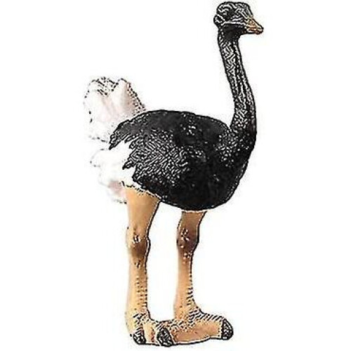 Ostrich Figurine Realistic Plastic Wild Animals Ostrich Model Simulated ...