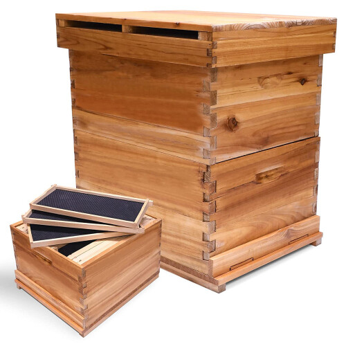 Beehive, 20-Frames Complete Beehive Starter Kit, Beehive for Beginner ...