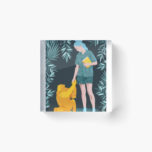 Acrylic Block Jane and Fifi - Tribute illustration Jane Goodall Cube ...