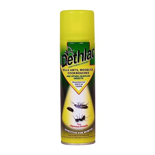 Dethlac Insecticidal Lacquer- 250 ml Aerosol. Fast-Acting Knockdown ...