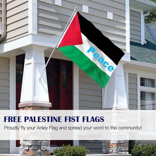 (Style 3) Free Palestine Fist Flags,3x5 Ft Palestine Country Free ...