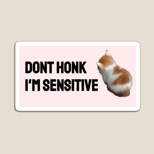 Fridge Magnets dont honk im sensitive Acrylic Meme Decoration for Home ...