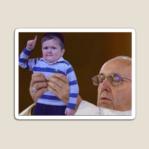 Fridge Magnets Hasbulla - Hasbullah Acrylic Meme Decoration for Home ...