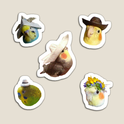Fridge Magnets Birds in hats sticker pack Acrylic Meme Decoration for ...