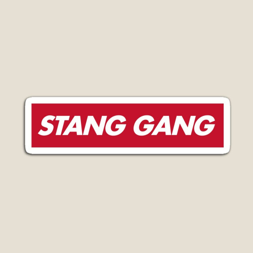 Fridge Magnets Stang Gang, Mustang GT Acrylic Meme Decoration for Home ...