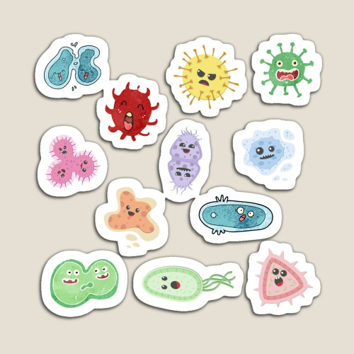 Fridge Magnets Cute Microbes Bacteria, Virus, Ecoli MicroBiology ...