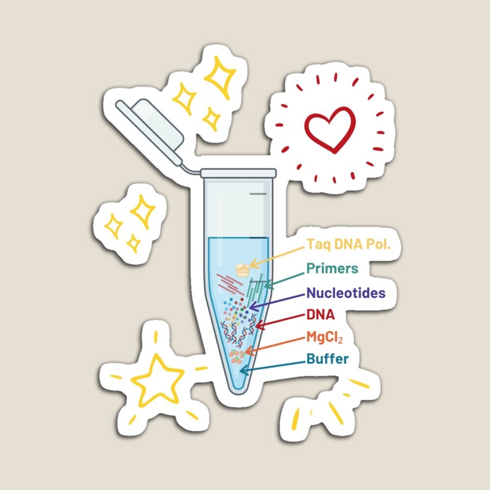 Fridge Magnets The Perfect PCR Polymerase Chain Reaction Process Steps ...