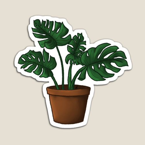 Fridge Magnets Monstera Plant Acrylic Meme Decoration for Home Kitchen ...