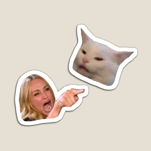 Fridge Magnets Cat meme sticker pack Acrylic Meme Decoration for Home ...