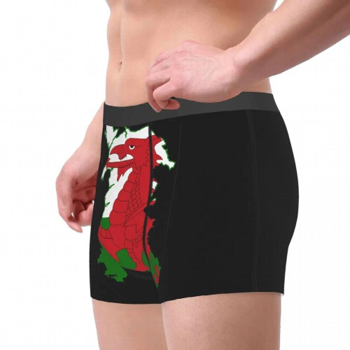 Flag Map Of Wales Mens Boxer Briefs R301 Funny elastic pants for men on ...