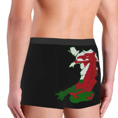 Flag Map Of Wales Mens Boxer Briefs R301 Funny elastic pants for men on ...