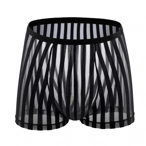 Men Mesh Boxers Transparent Underwear Sexy Panties Trunks Low Rise ...