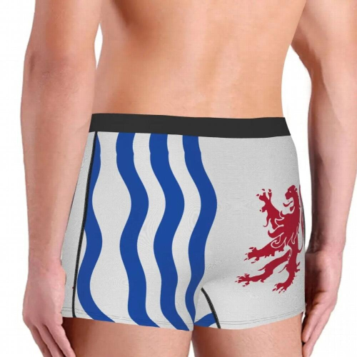 Flag Of Nouvelle-Aquitaine Mens Boxer Briefs Flags of the regions of ...