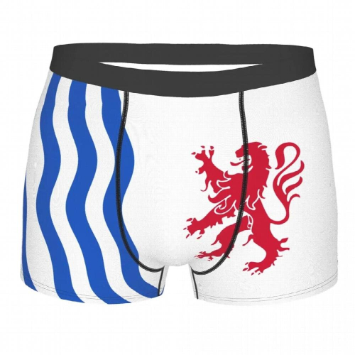 Flag Of Nouvelle-Aquitaine Mens Boxer Briefs Flags of the regions of ...