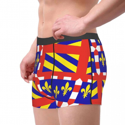 Flag Of Bourgogne Mens Boxer Briefs Flags of the regions of Nerd ...