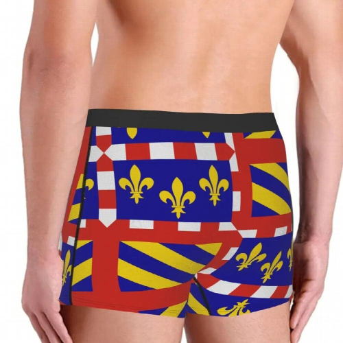 Flag Of Bourgogne Mens Boxer Briefs Flags of the regions of Nerd ...