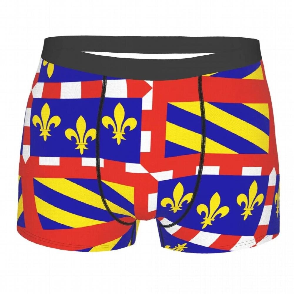 Flag Of Bourgogne Mens Boxer Briefs Flags of the regions of Nerd ...