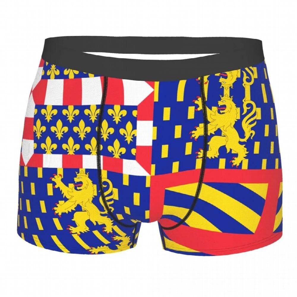 Flag Of Bourgogne-Franche-Comte? Mens Boxer Briefs Flags of the regions ...