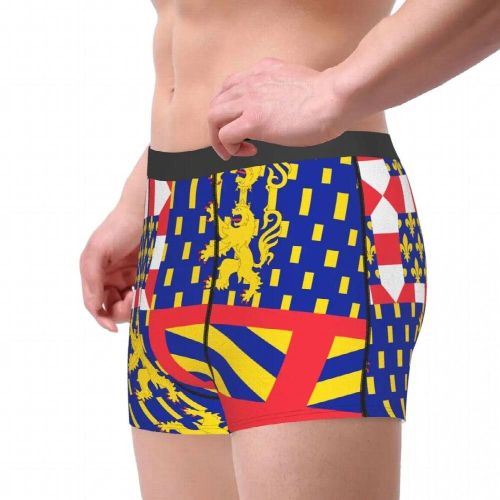 Flag Of Bourgogne-Franche-Comte? Mens Boxer Briefs Flags of the regions ...