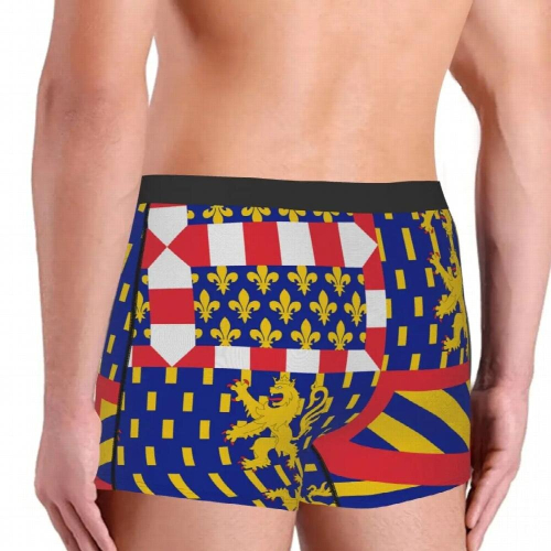 Flag Of Bourgogne-Franche-Comte? Mens Boxer Briefs Flags of the regions ...