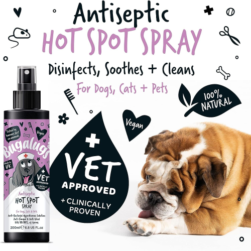 BUGALUGS Dog Antiseptic spray 200ml Hot Spot Treatment for dogs ...