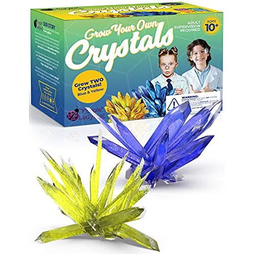 PURPLE LADYBUG Crystal Growing Kit for Kids - Grow Your Own 2 Large ...