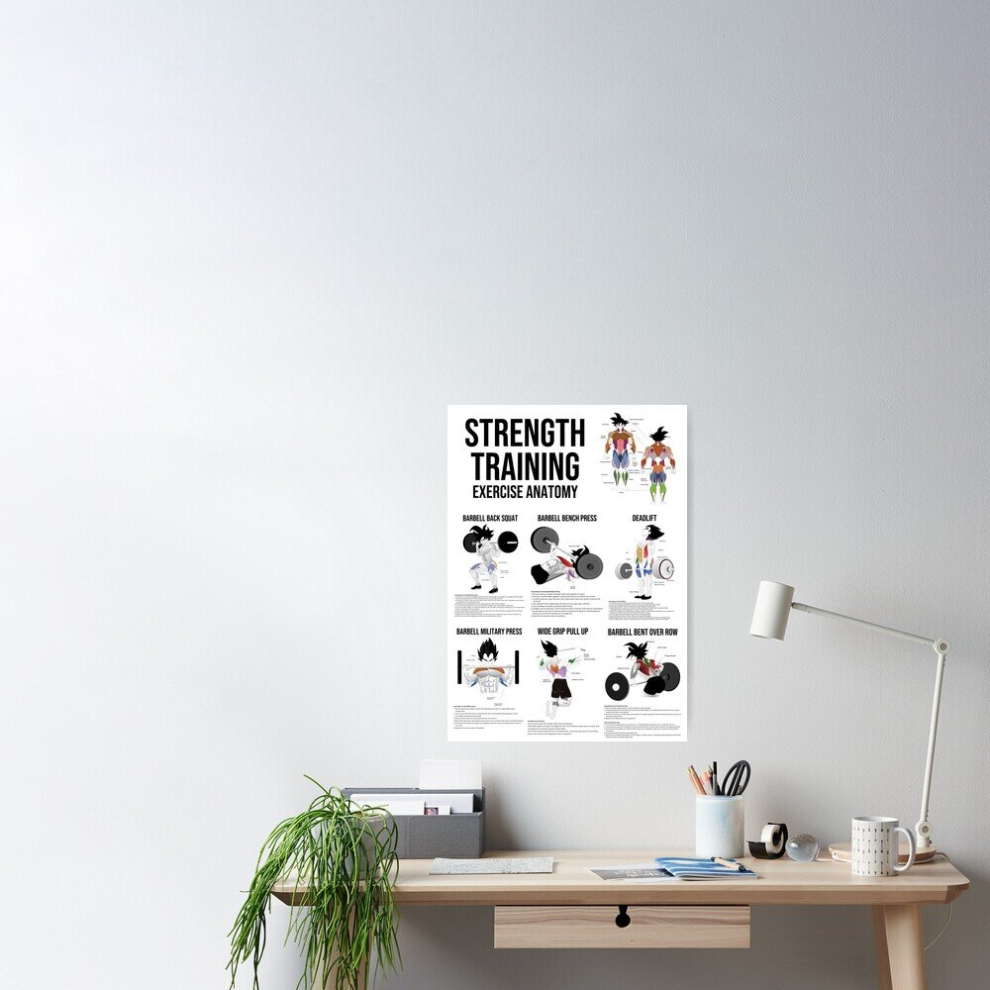 Posters Strength Training Exercises - Muscle Chart - Anatomy Diagram ...