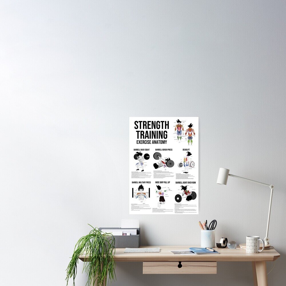 Posters Strength Training Exercises - Muscle Chart - Anatomy Diagram ...