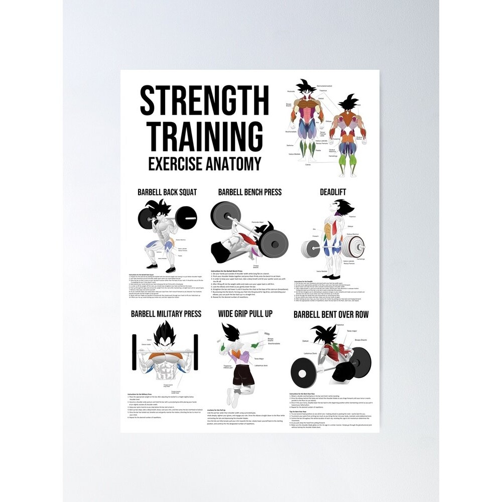 Posters Strength Training Exercises - Muscle Chart - Anatomy Diagram ...