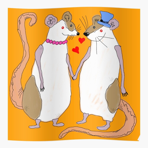 Posters Two Rats in Love 16x20 inch or 20x20 inch Wall Art Soccer Print ...