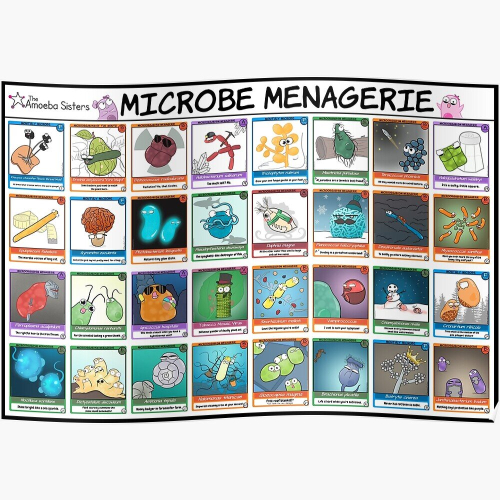 Posters Microbe Menagerie Trading Cards 16x20 inch or 20x20 inch Wall ...