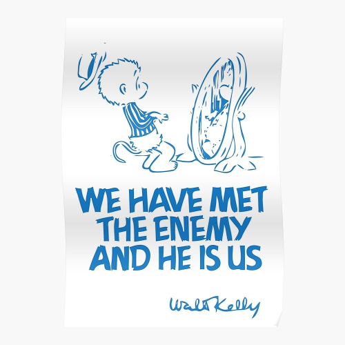 Posters We Have Met the Enemy and He Is Us 16x20 inch or 20x20 inch ...