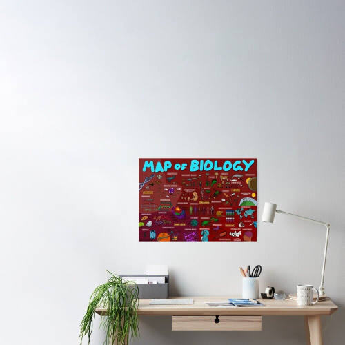 Posters Map of Biology 16x20 inch or 20x20 inch Wall Art Soccer Print ...