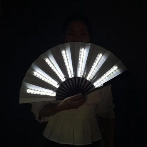 Party LED Glowing Fan Stage Performance Show Light Up Fan Children ...