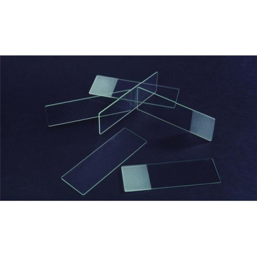 C & A Scientific Single Frosted Microscope Slides - Second Grade ...