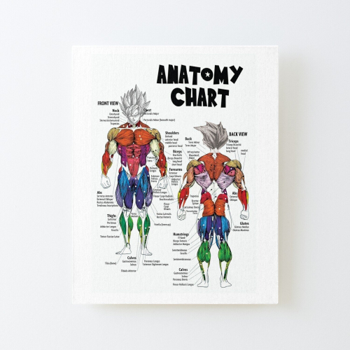 Canvas Print Only Goku Muscle Chart - Anatomy Diagram - Anime Gym ...