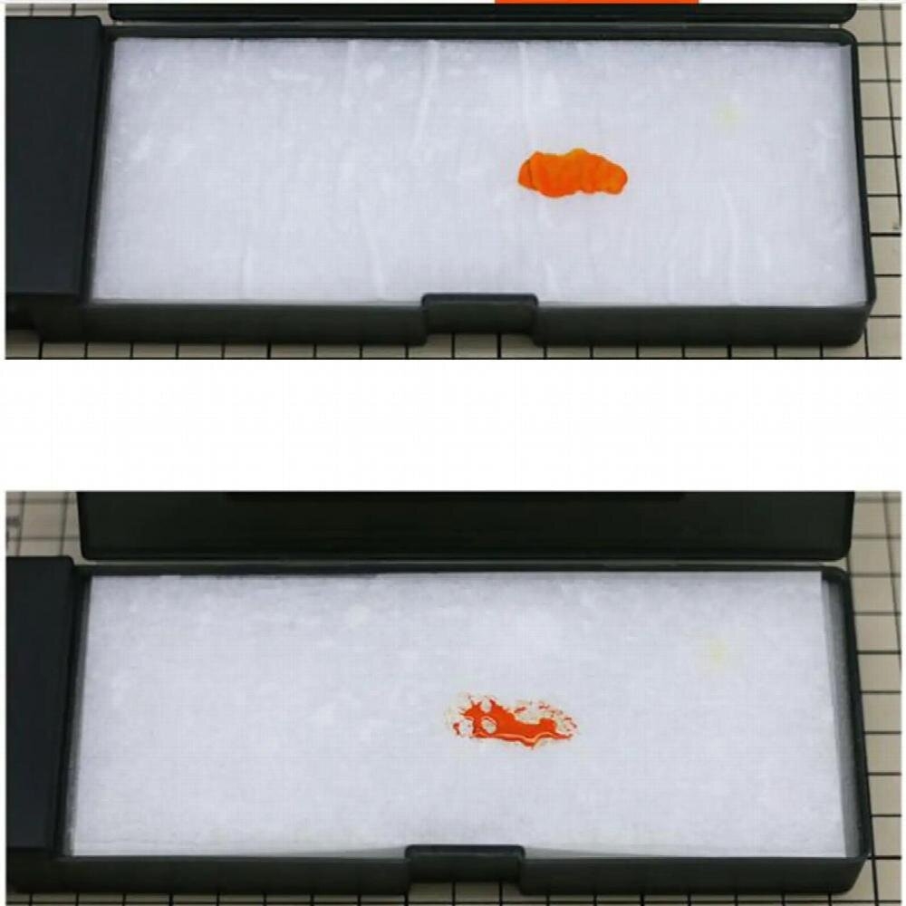 Model Coloring Wet Tray Keeps Your Paint Wet Paint Supplies Paint ...