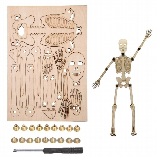 DIY Human Skeleton Model Anatomy STEAM Puzzle Developmental Toy ...