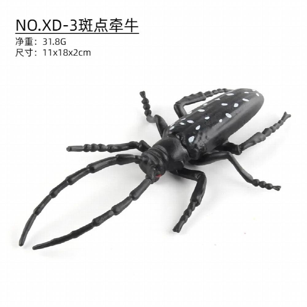 Teaching Aids Animal Model Set preschool cognitive Toys Butterfly ...