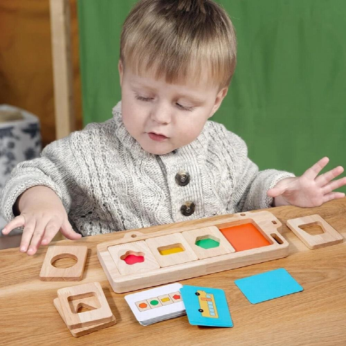 Montessori Geometry Separation Puzzle Wooden Toys Sensory Training ...