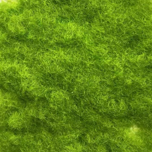 30g 3mm Static Grass Powder Lawn Scene Train Railway Layout Model ...