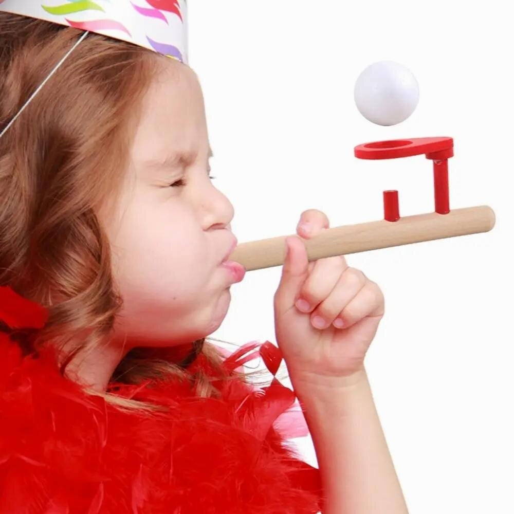 Wooden Strawberry Magnetic Bug Catching Game Educational Toddler Toy ...
