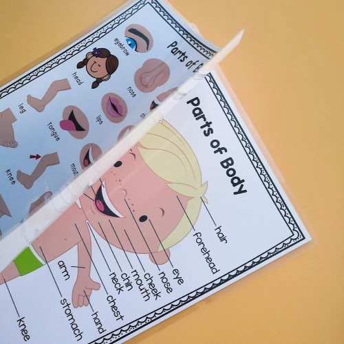 2PCS learning Body Parts words Preschool Classroom Decoration Posters ...