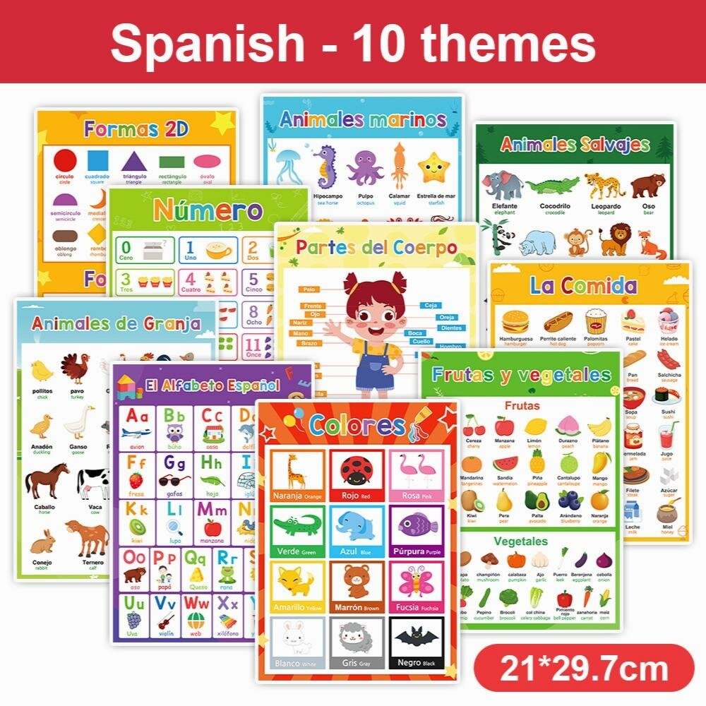 10 Categories Laminated Spanish Learning Chart for Kids School ...