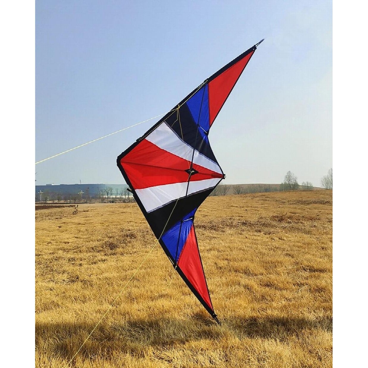dual line stunt kites flying power kites adults kites line kitesurfing ...
