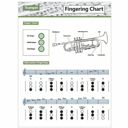 Thin Pragmatic Beginning Trumpet Finger Book Refreshing Trumpet ...