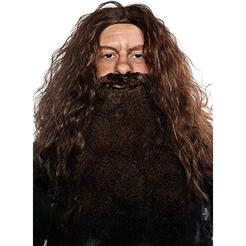 - Brown Wizard Wig and Beard Set - Mens Viking Wig Character - Fake ...
